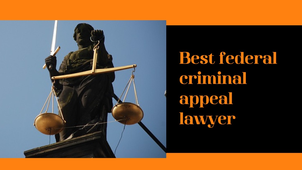 Navigating the Complexity of Criminal Cases: An Extensive Outline ...